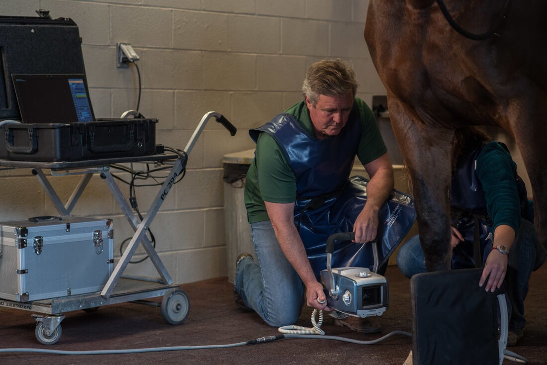 Digital Radiography (DR) | Tennessee Equine Hospital