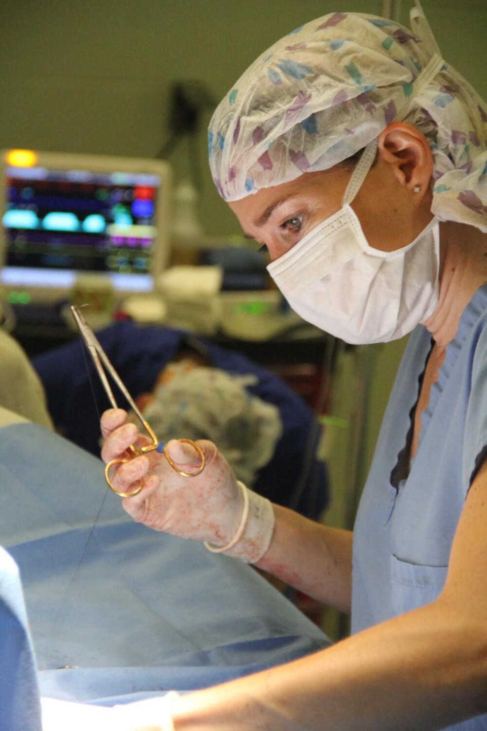 Surgical Facilities | Tennessee Equine Hospital