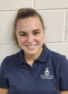 Tennessee Equine Hospitals - Horse Veterinarians